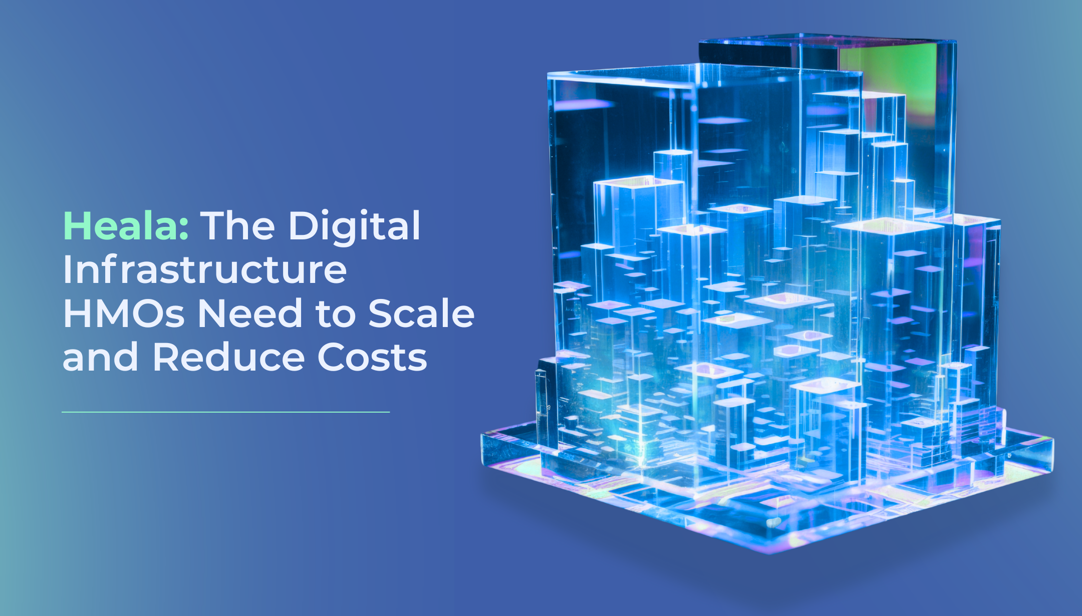 Heala, The Digital Infrastructure HMOs Need to Scale and Reduce Costs ...
